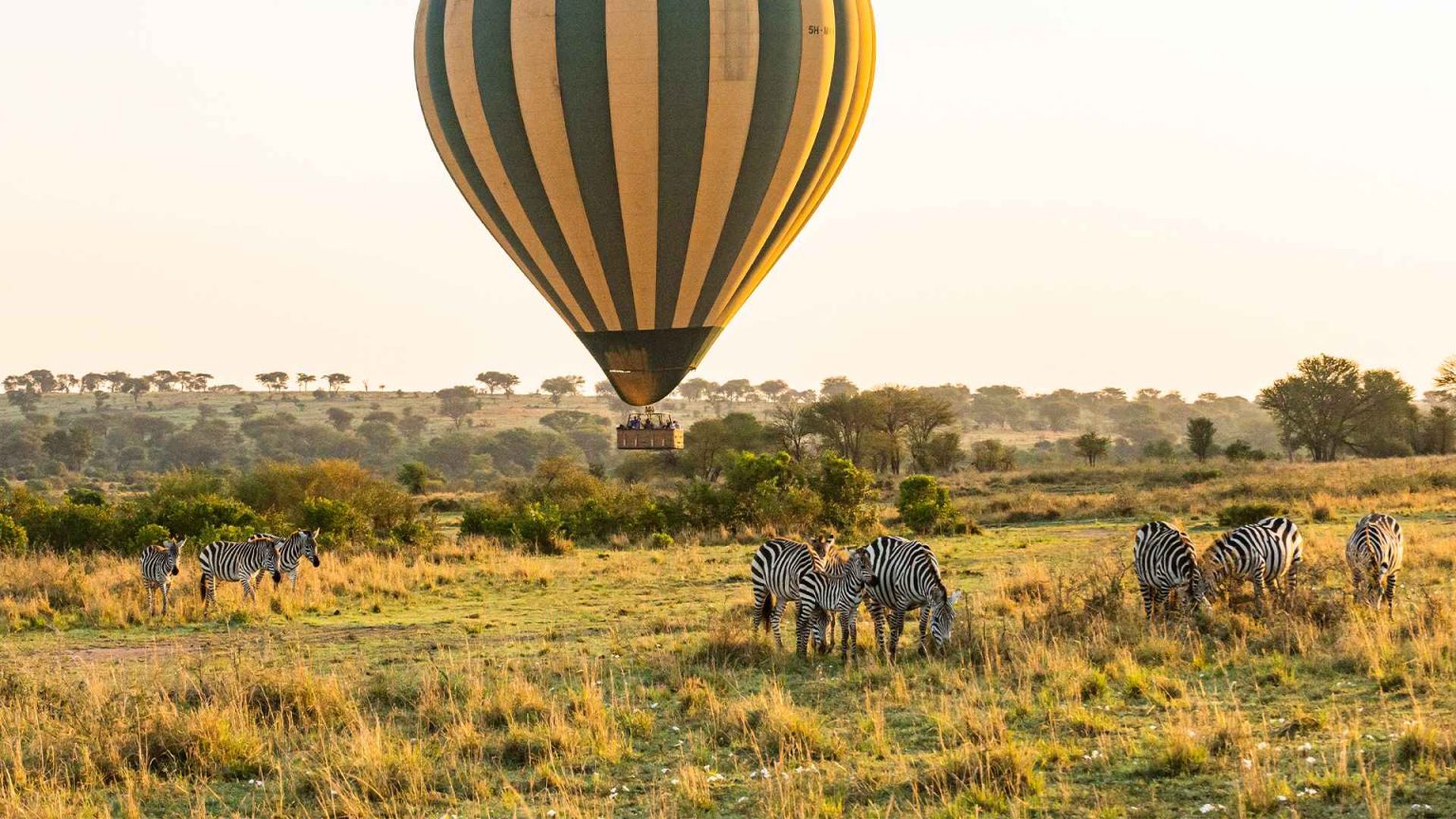 Everything You Need To Know To Arrange Your Travel To Tanzania ...